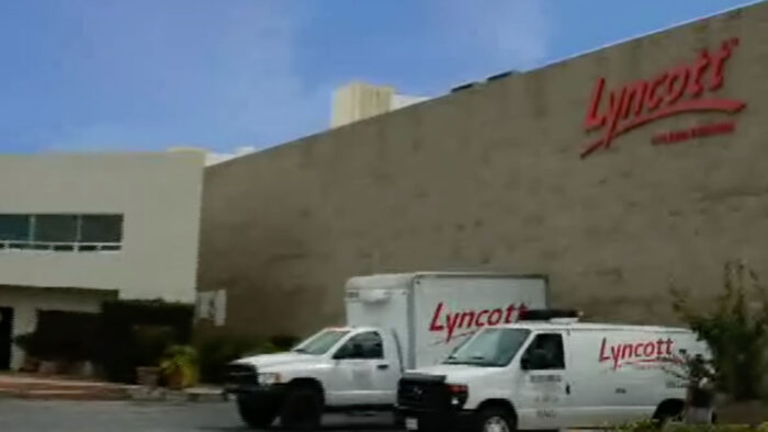 1994 Historia Lyncott